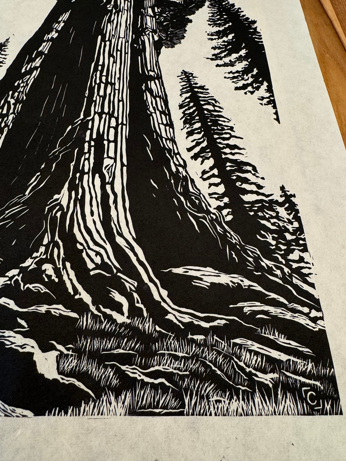 A Redwood Forest Giant, Linocut Tree Print - Etsy