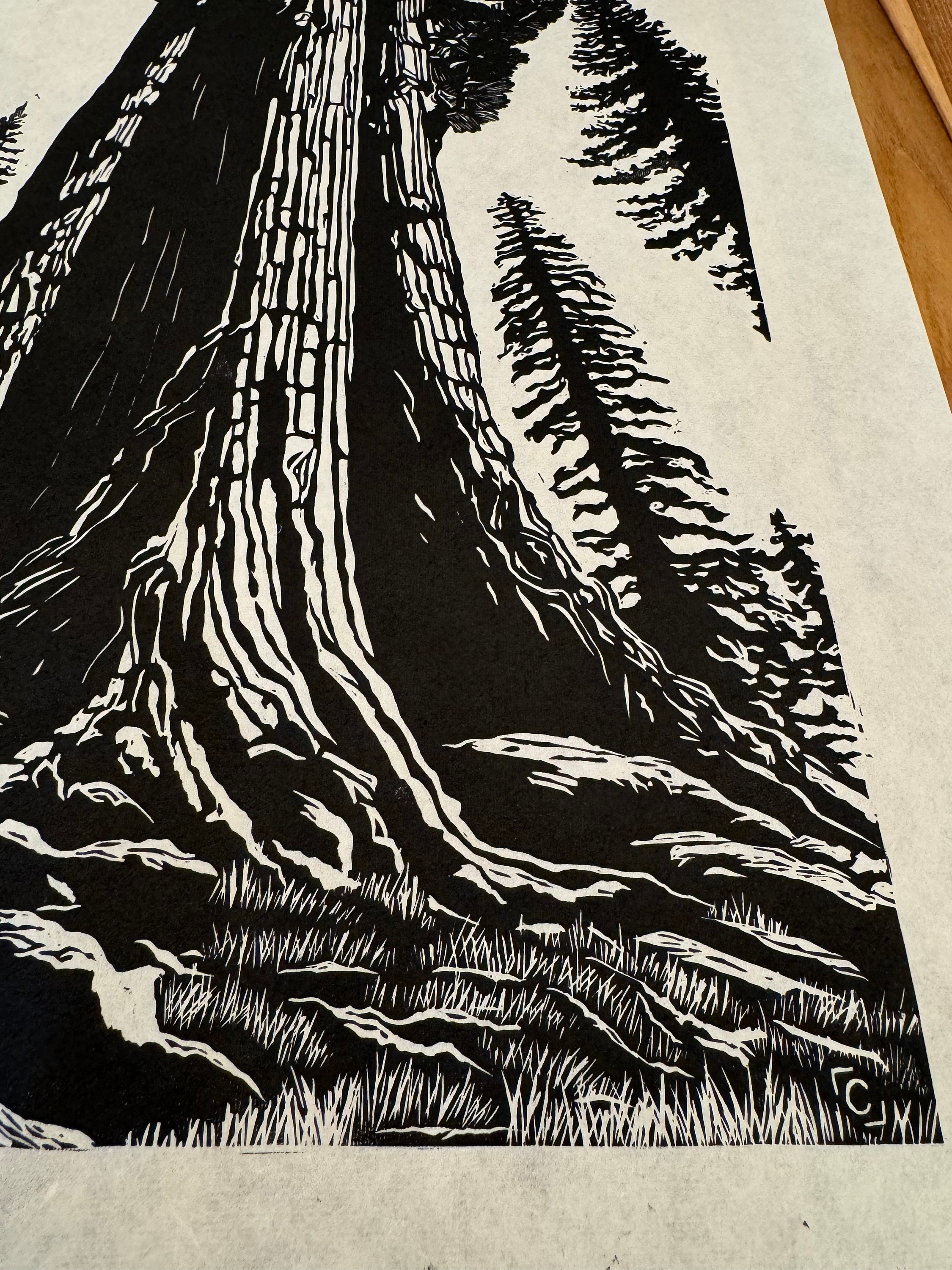 A Redwood Forest Giant, Linocut Tree Print - Etsy