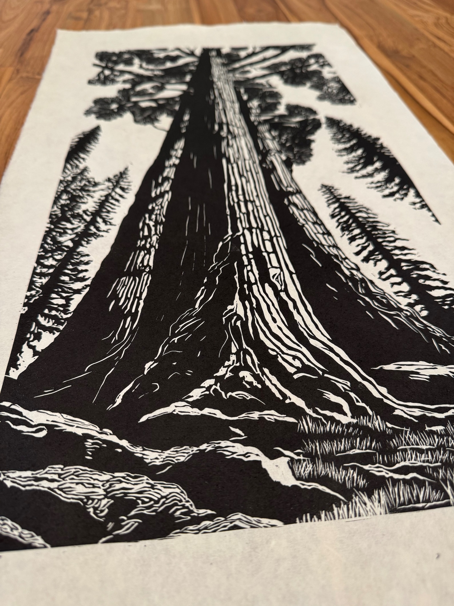 A Redwood Forest Giant, Linocut Tree Print - Etsy