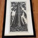 A Redwood Forest Giant, Linocut Tree Print - Etsy