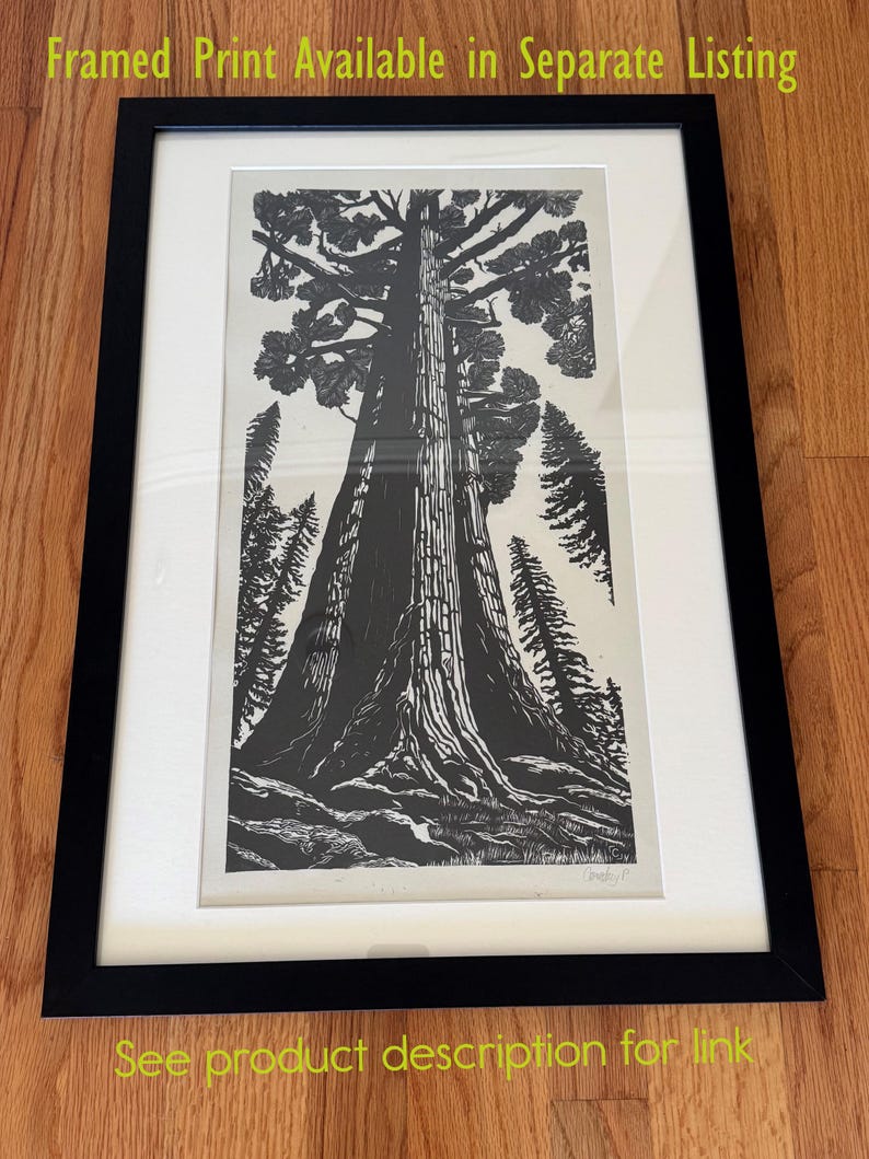A Redwood Forest Giant, Linocut Tree Print - Etsy
