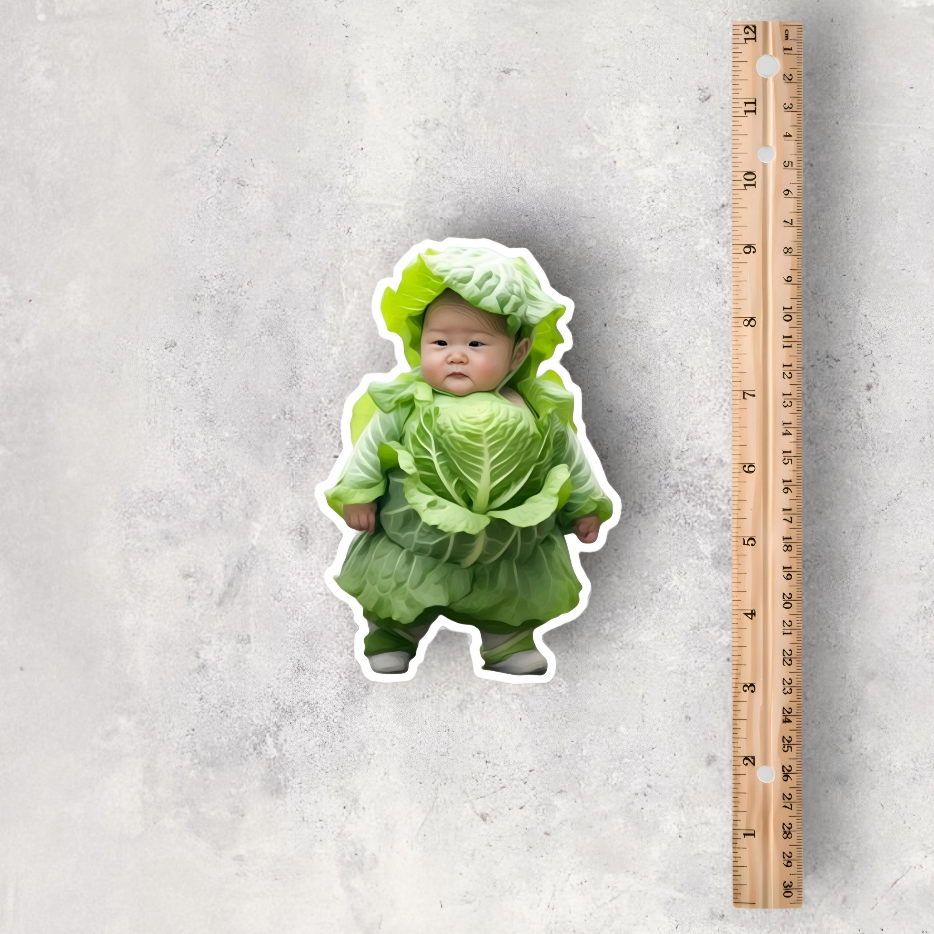 2 Pack Lil' Kimchi Funny Baby Meme Sticker. - Etsy