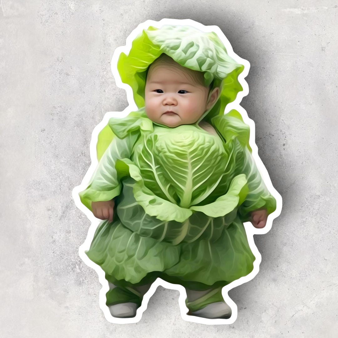 2 Pack* Lil' Kimchi Funny Baby Meme Sticker. - Etsy