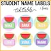 Printable Watermelon Theme Student Name Tags, Name Signs, Classroom ...