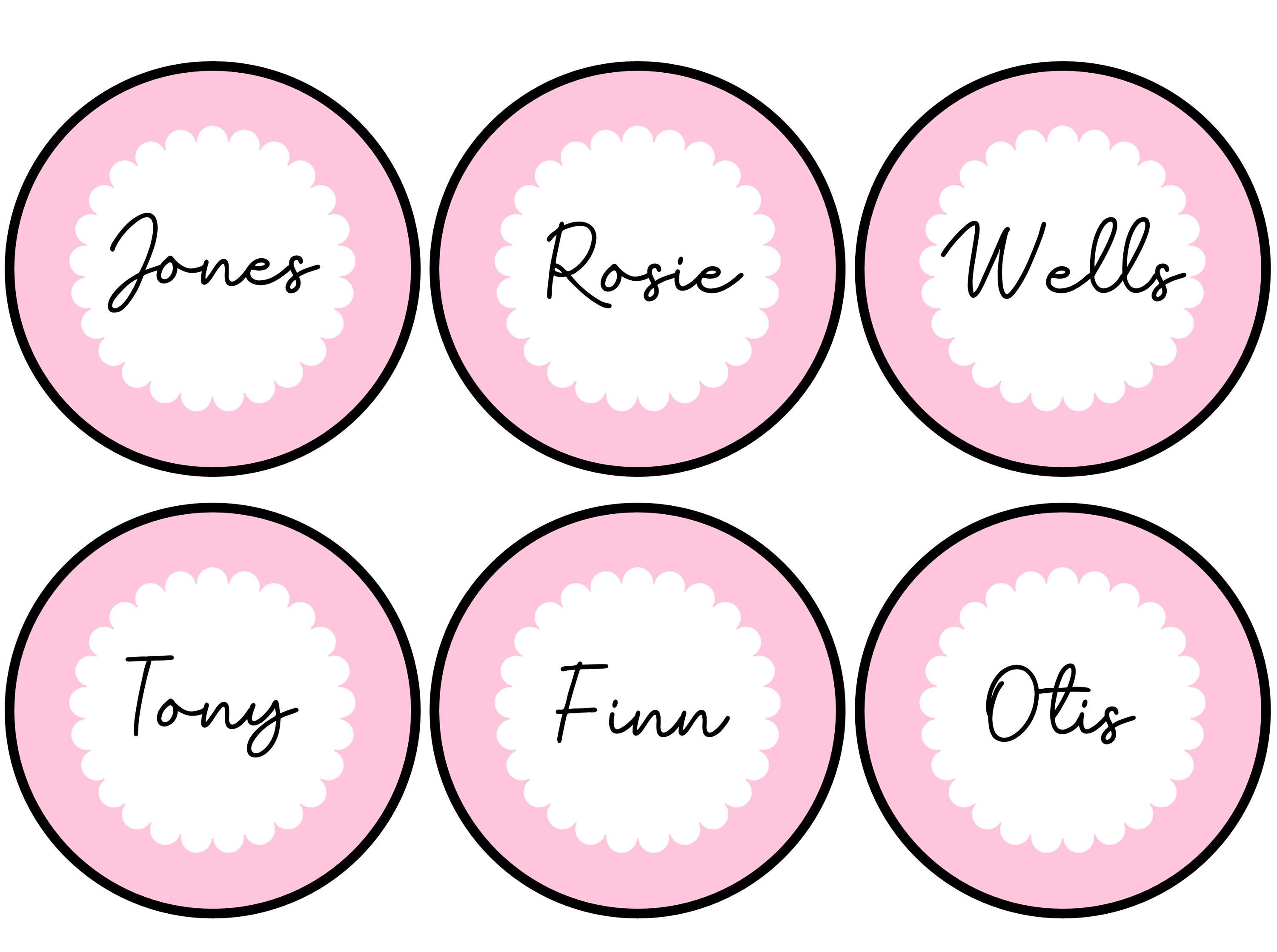 Printable Pink Student Name Labels, Circle Name Plates, Cubby Tags ...