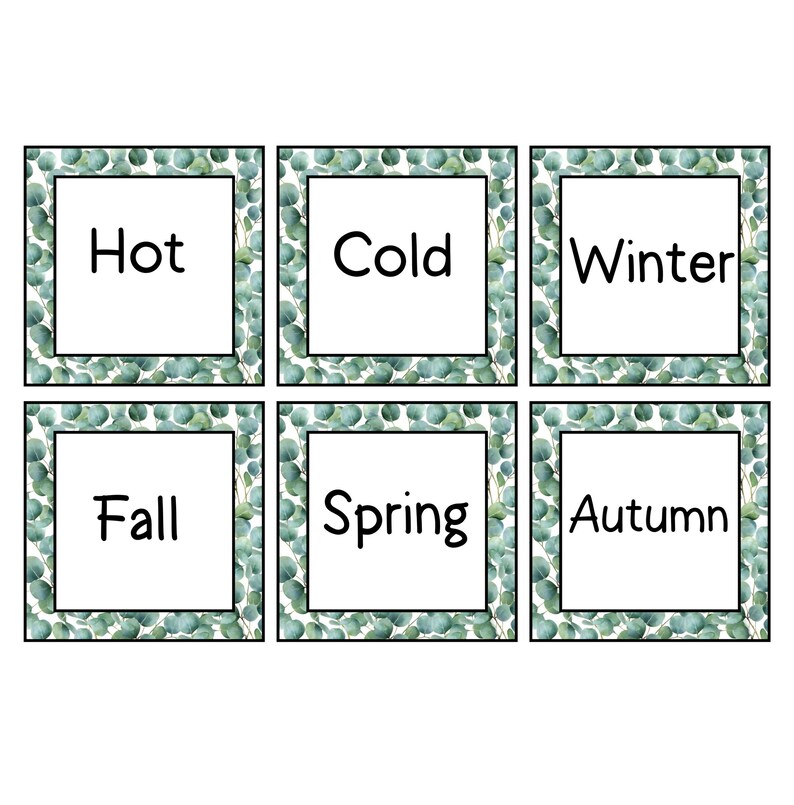 Eucalyptus Classroom Label Templates, Botanical Name Tags, Boho Spring ...