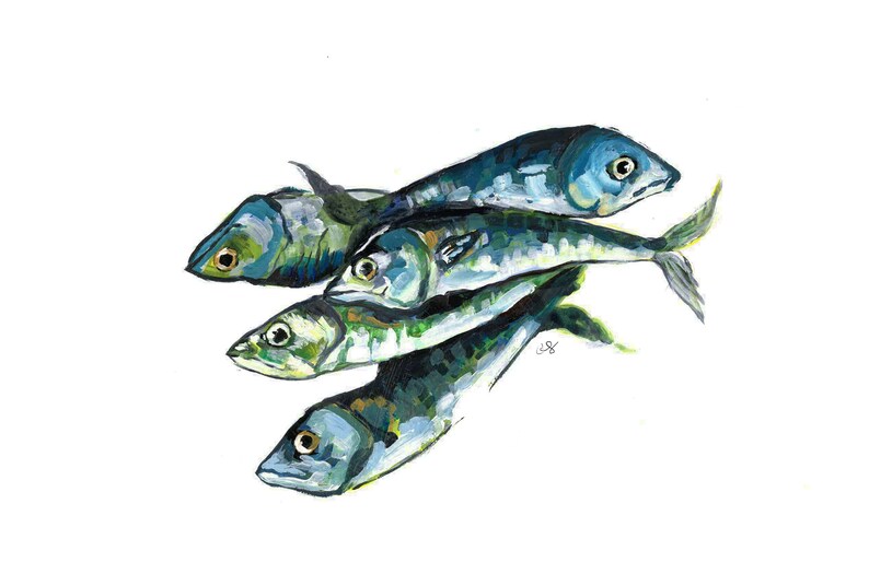 Five Fishes, 5” by 7” Art Print With Backing - Etsy