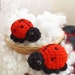 Ladybug Crochet Pattern, NO SEW Pattern, Digital Pdf Crochet Pattern ...