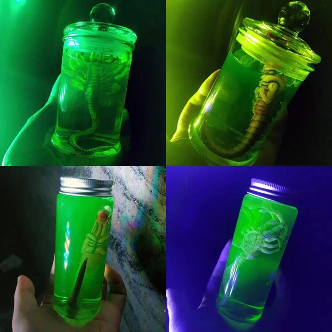 1/6 Scale Alien Jar Xenomorph Specimen Facehugger Embryo Model Movie ...