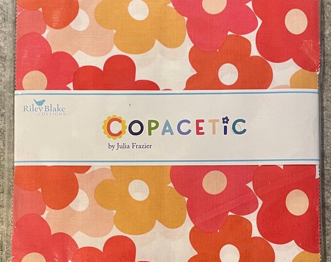 Riley Blake Copacetic Fabric Collection Pre-cut Layer Cake 10-inch ...