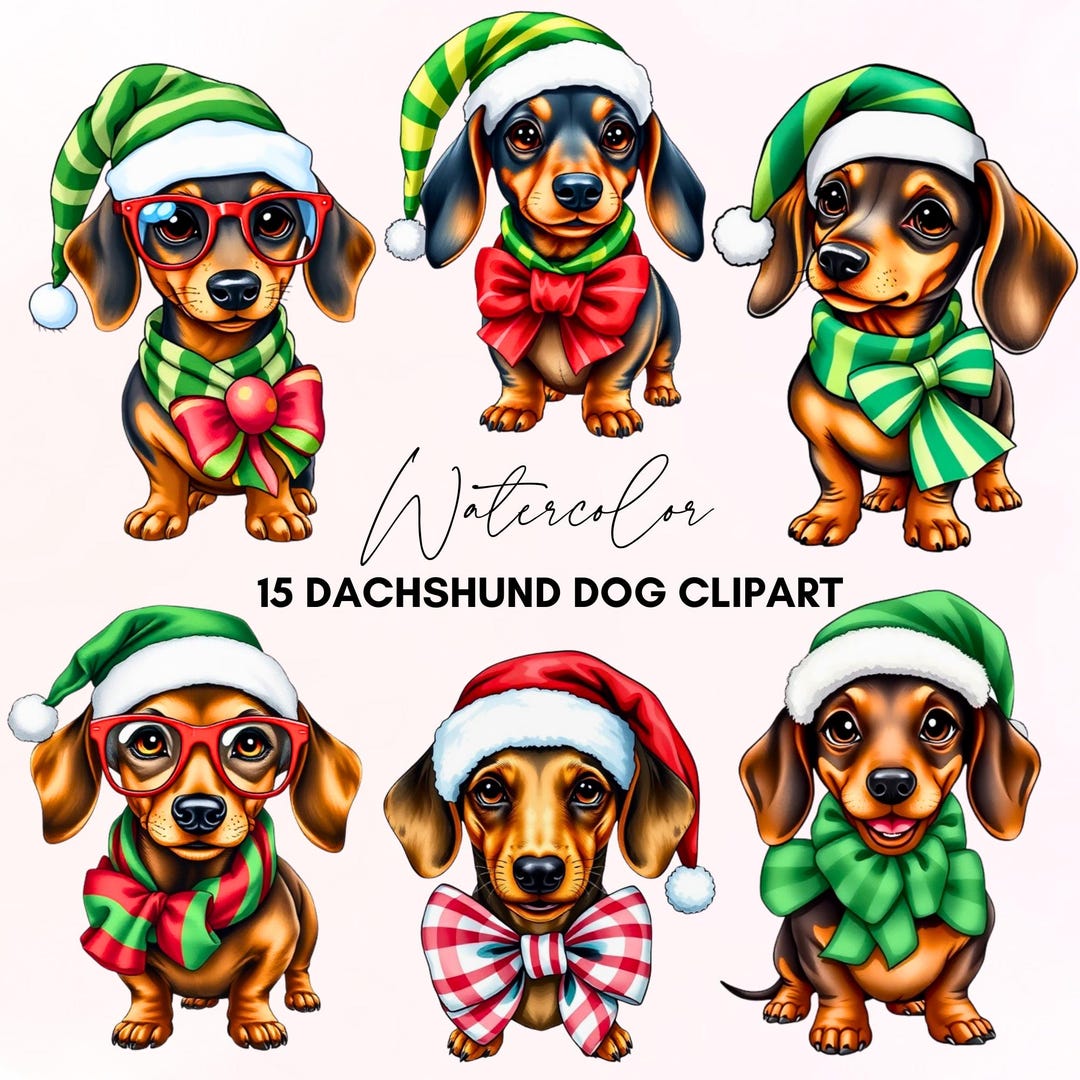 Christmas Dachshund Clipart, Christmas Pet, Dachshund Dog PNG ...