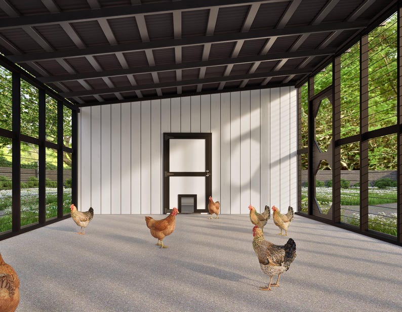 Chicken Coop Build Plan PDF, XL Walk-in Coop for 40 Chickens, DIY ...