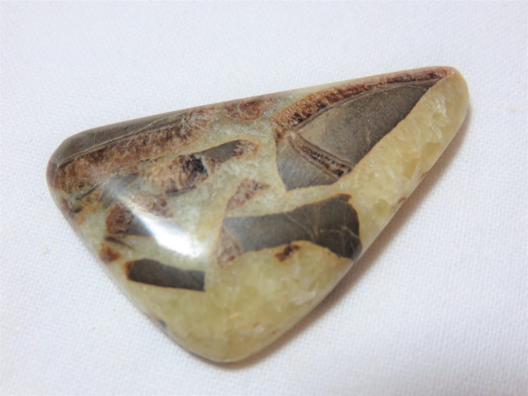 Natural Smooth Septaria Fossil/volcanic Fossil Freeform Shape 24x42mm ...