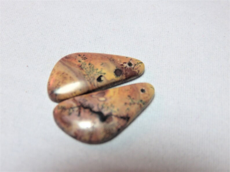 Natural Smooth Plume Jasper Modified Trillion 12x23mm - One Pair - Etsy