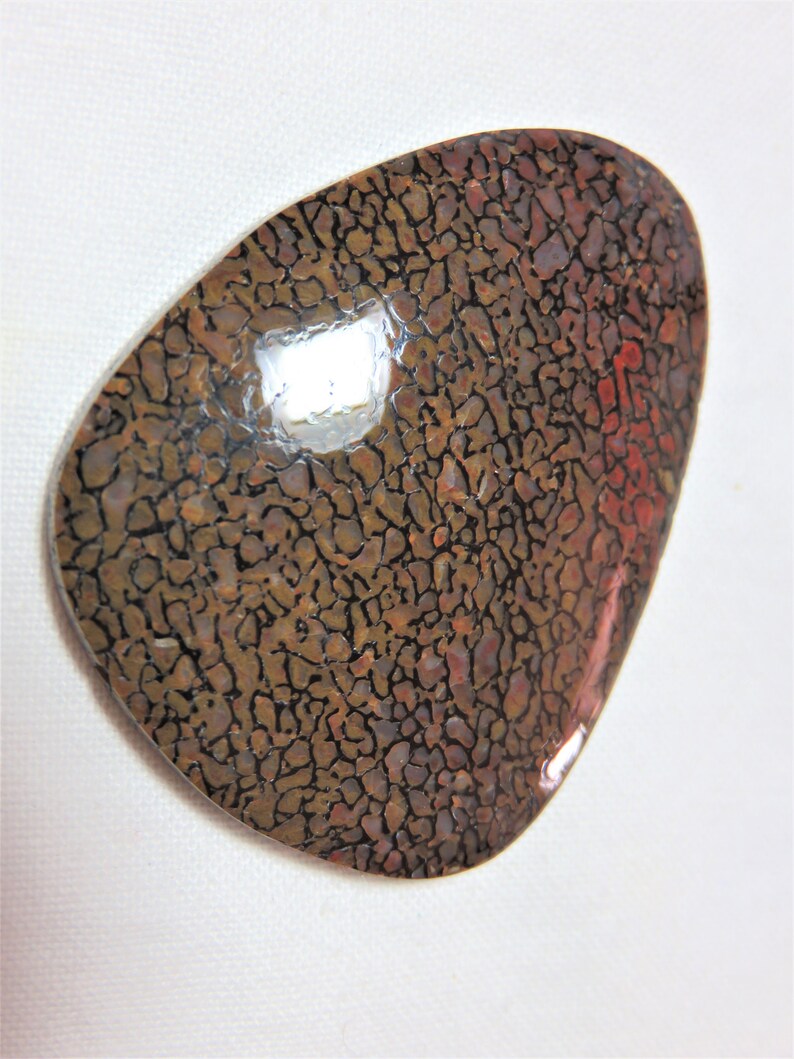 Natural Smooth Gem Dinosaur Bone Agate Freeform Shape 35x45mm - Etsy