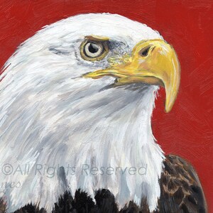 PRINT of Painting Eagle, American Bald Eagle, Patriotic Wall Art, USA ...