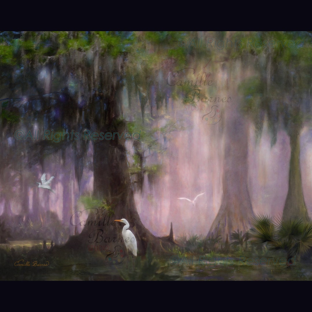 PRINTS: A Haze on the Bayou, Marshland, Print on Canvas, Unframed ...