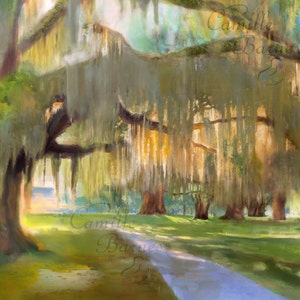 PRINT - Unframed, Stretched Canvas - Oak Trees - New Orleanes Artist ...