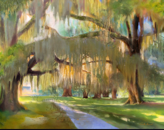 Mini Oak Tree Graphite Drawing, 8x8 Original Pencil Mounted Artwork ...