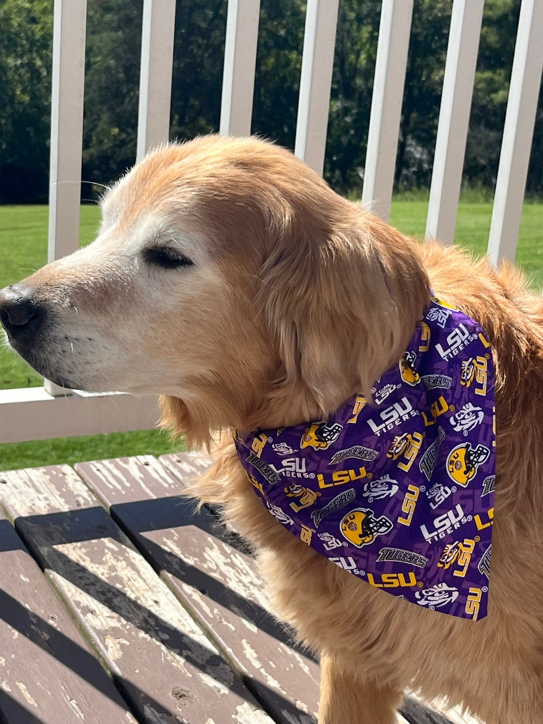 LSU Tigers, Louisiana State University, Dog Bandana, Over the Collar ...