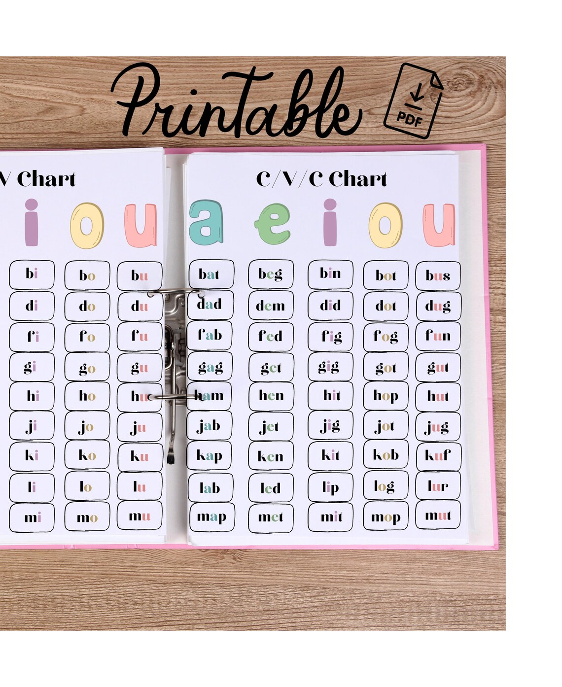 Printable/ Phonics Study Chart / CV (consonant Vowels) CVC (consonant ...