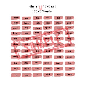Printable/ Phonics Study Chart/ CVC and CCVC Words/ Reading Practice ...