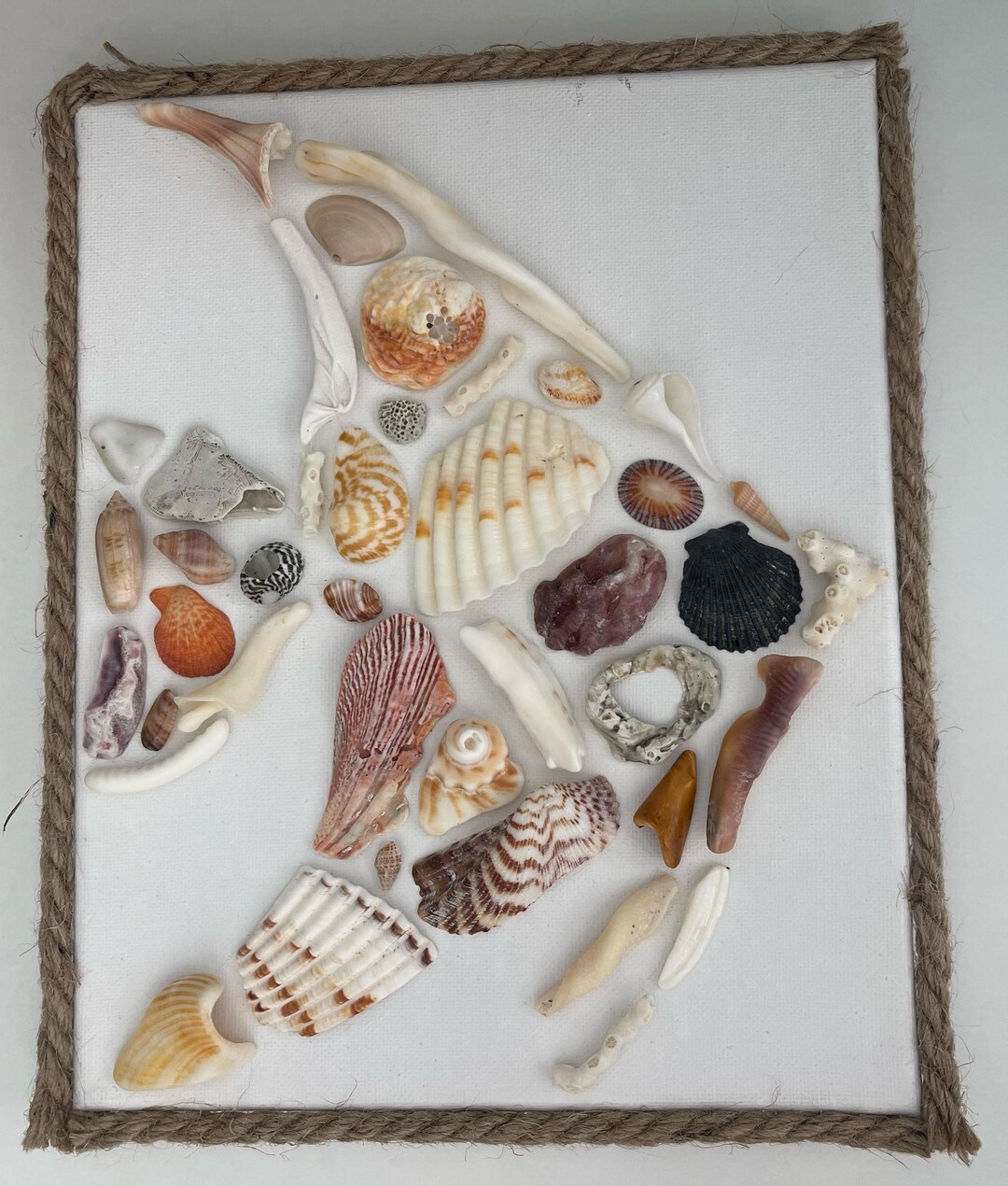 Coastal Elegance: Angelfish Seashell Art - Etsy