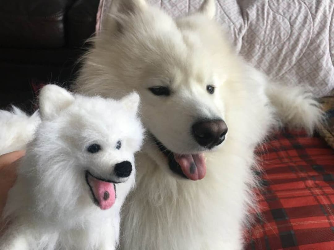 Custom Felted Samoyed Dog Sculpture. - Etsy