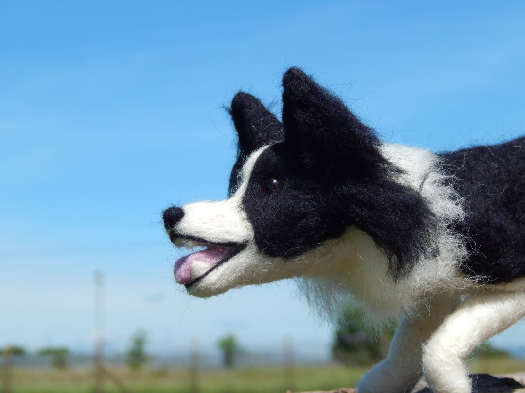 Custom Border Collie Sculpture. A Personalised Sheepdog Made From Wool ...