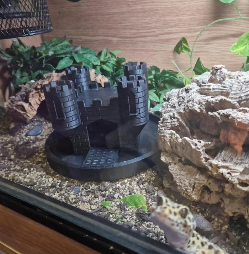 Castle Water Bowl Hide for Snakes and Lizards - Etsy