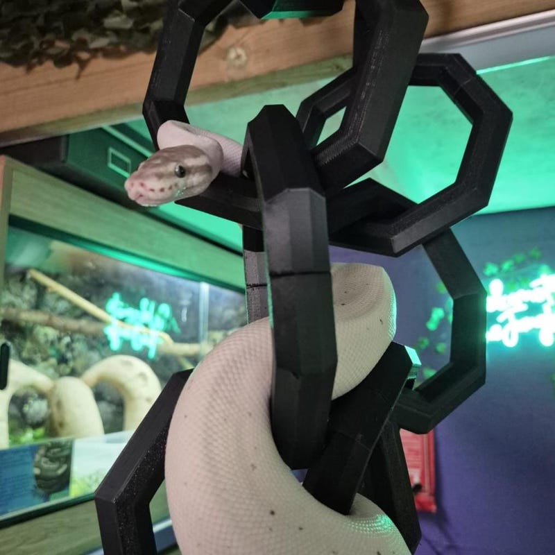 Snake Enrichment Decor - Etsy UK