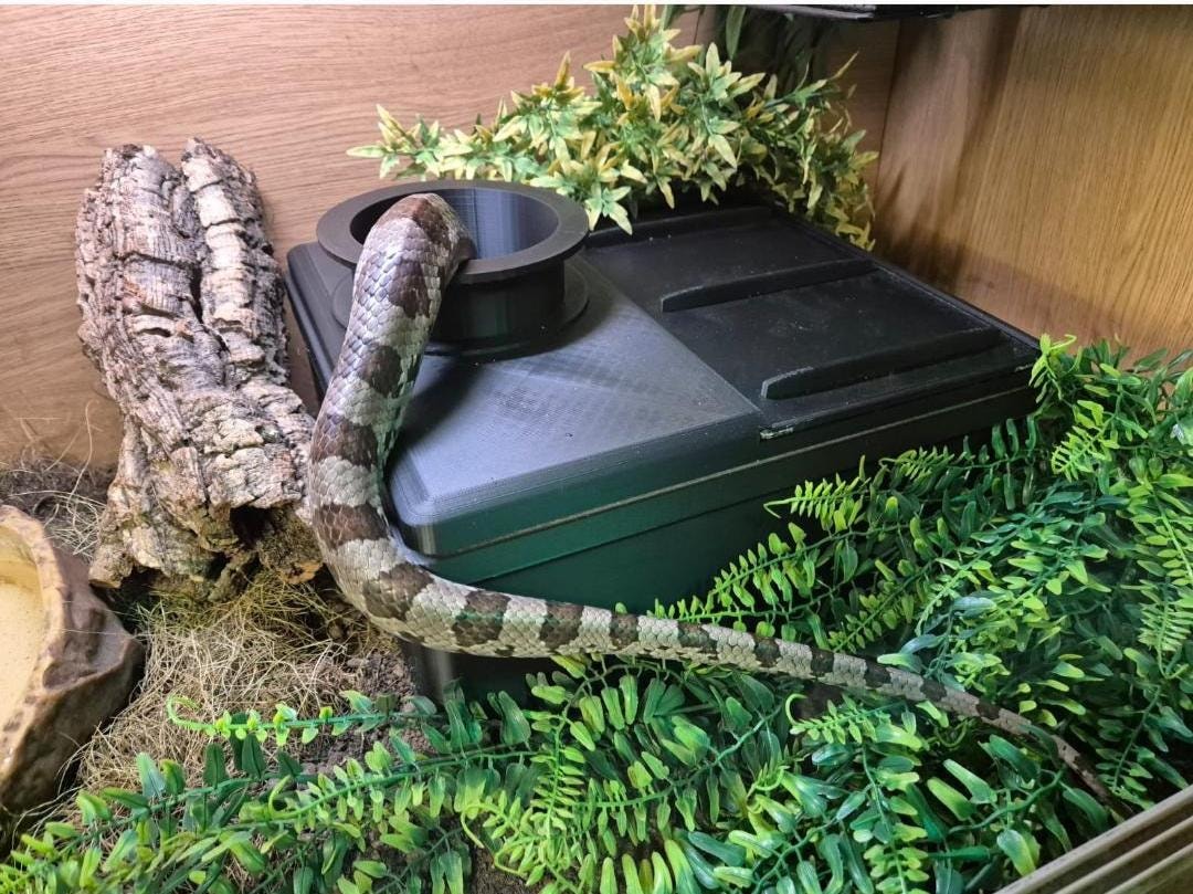 SDL Files Fossorial Snake Burrow Hide for Pythons/boes/corn Snakes - Etsy