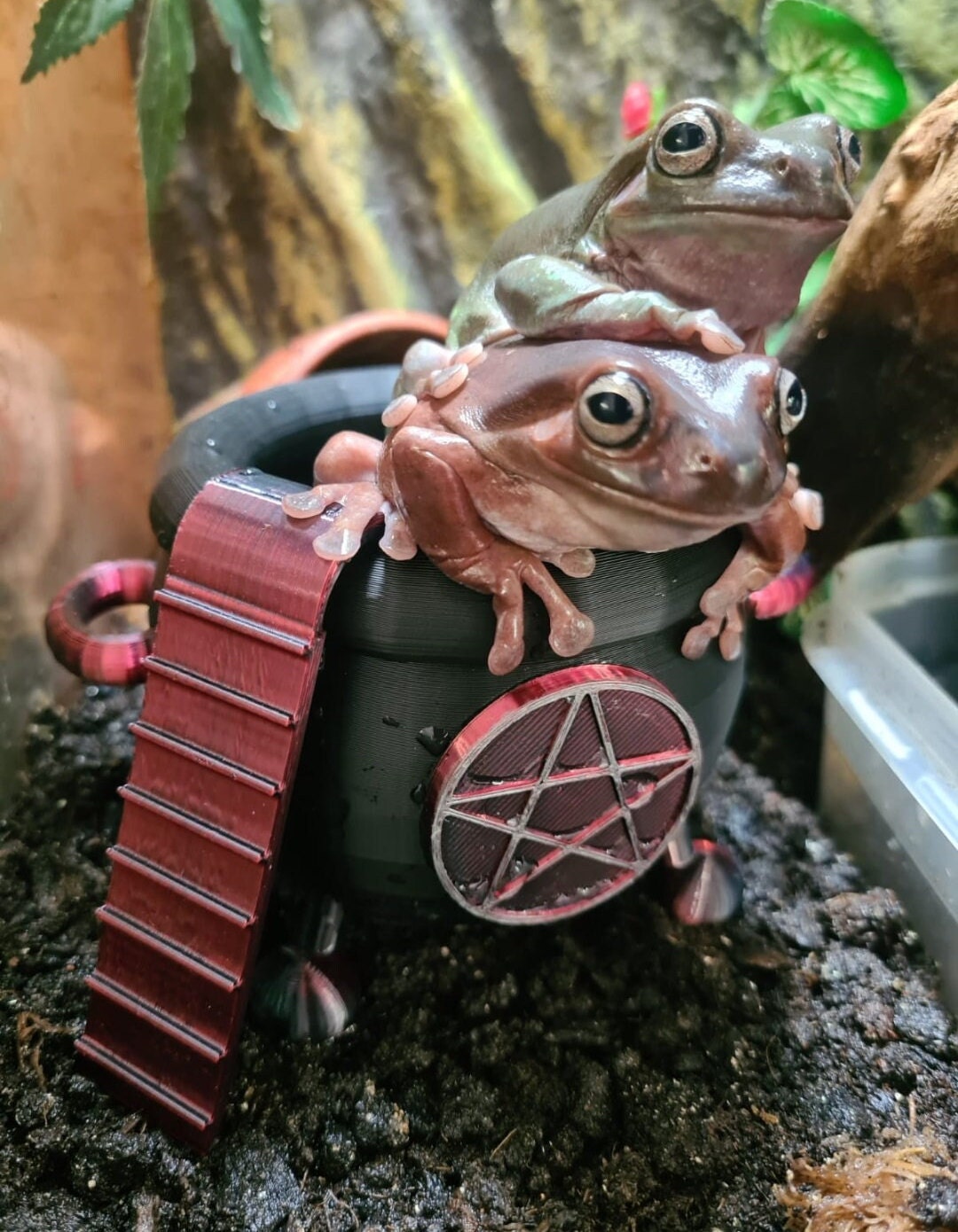 Small Cauldron Water Bowl for Frogs - Etsy