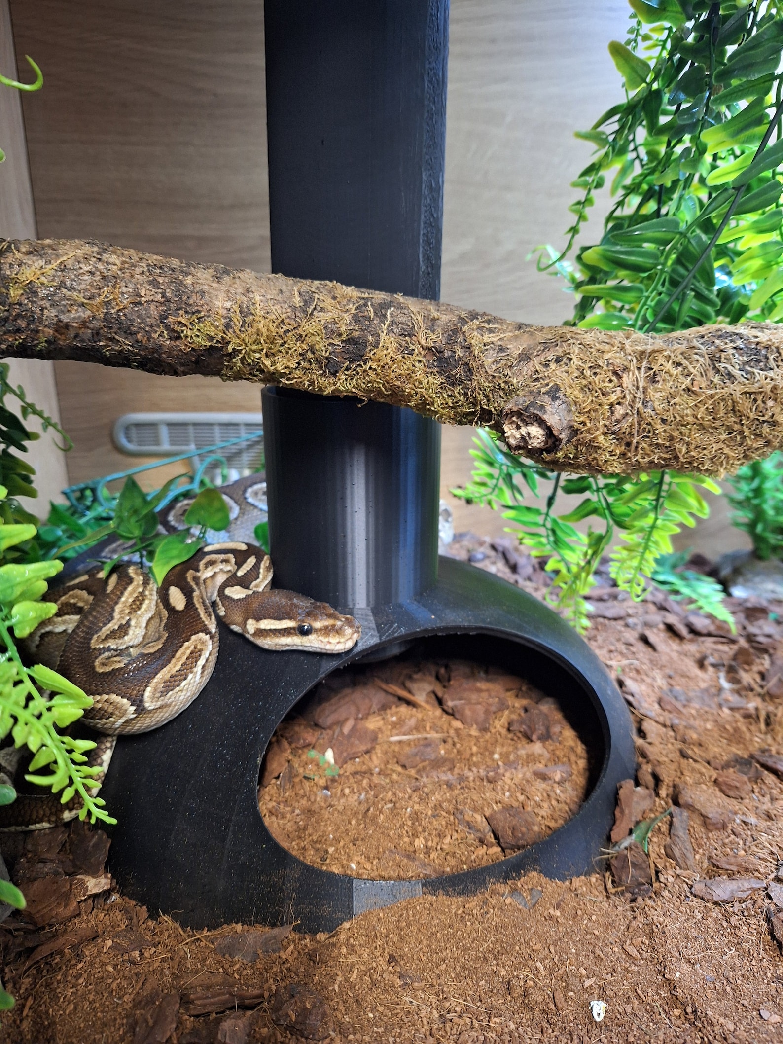 24" 600mm High Roof/floor Hide 280mm Diameter 85mm Deep With Large ...