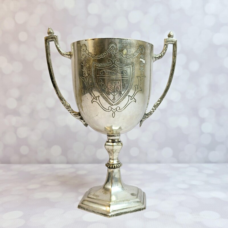 Trophy Cups - Etsy