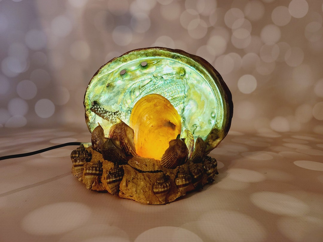 Vintage Abalone Shell TV Lamp - Etsy UK