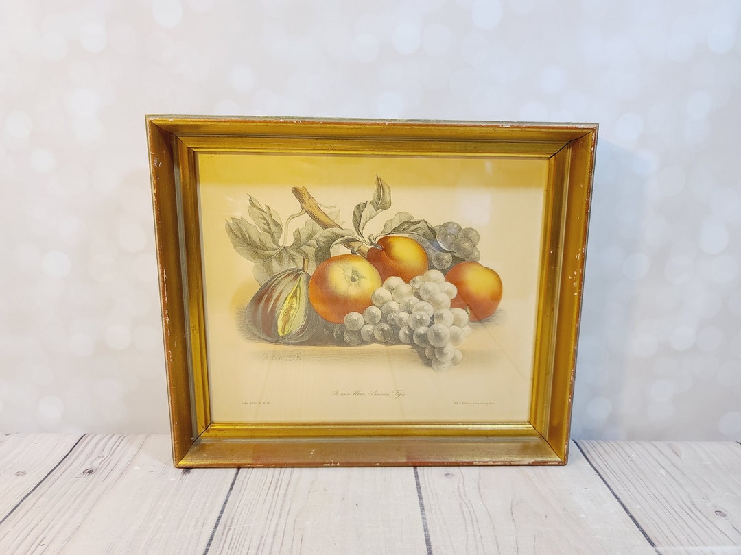 Vintage Fruit Art, Grobon Freres - Etsy