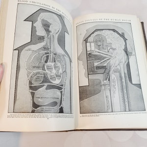 Vintage Human Interest Library Encyclopedia, 1926 - Etsy