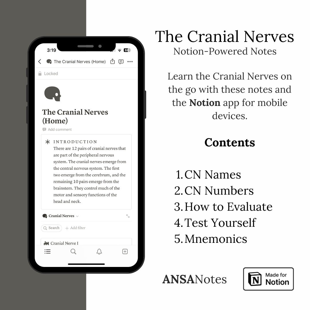 Cranial Nerves Study Guide for Notion Nursing Notes Health Science ...