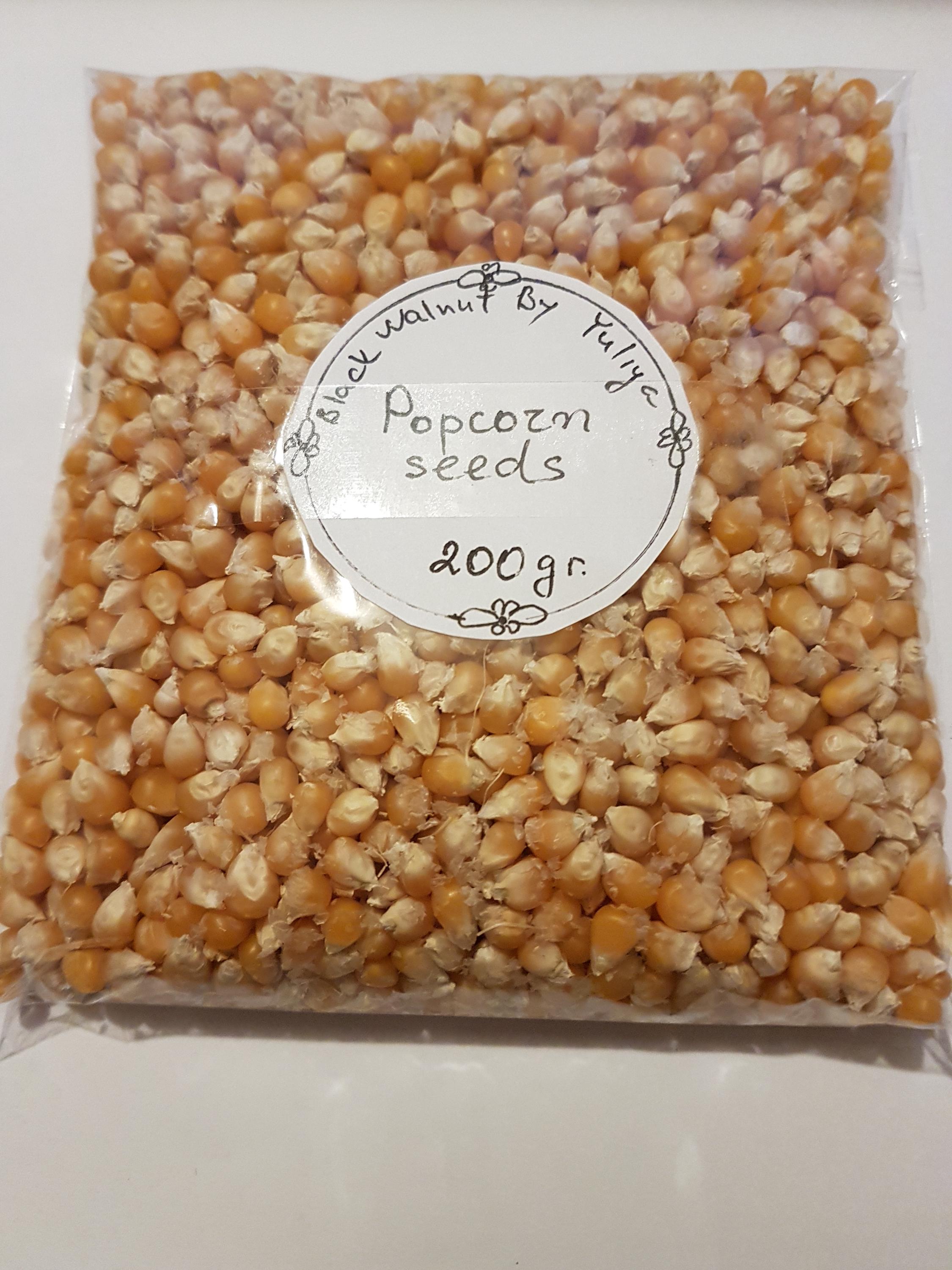 Popcorn Seeds - Etsy