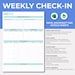 Weekly Team Member Check-in Template, Excel Google Sheets, Weekly Check ...