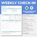 Weekly Team Member Check-in Template, Excel Google Sheets, Weekly Check ...
