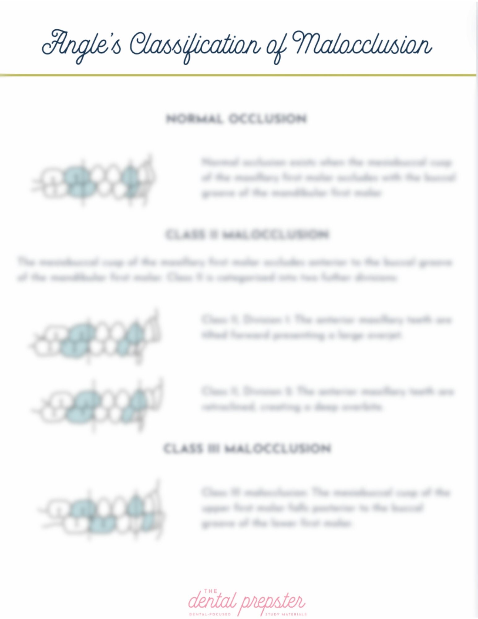 Angle's Classification of Malocclusion Dental Study Guide - Etsy