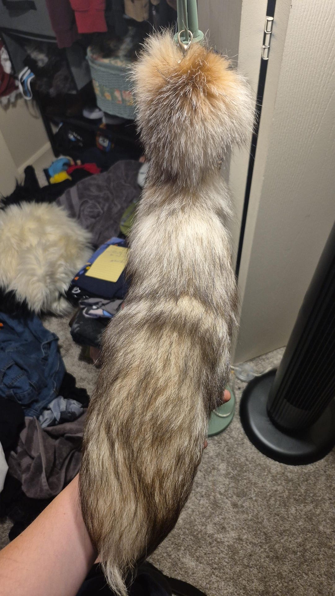 Taxidermy Brown Fox Tail - Etsy