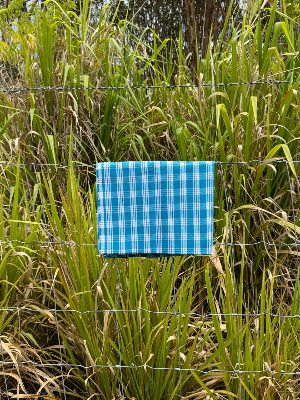 Blue Hawai'i Palaka | 8x8 Inch 100% Cotton Fabric Swatch - Etsy