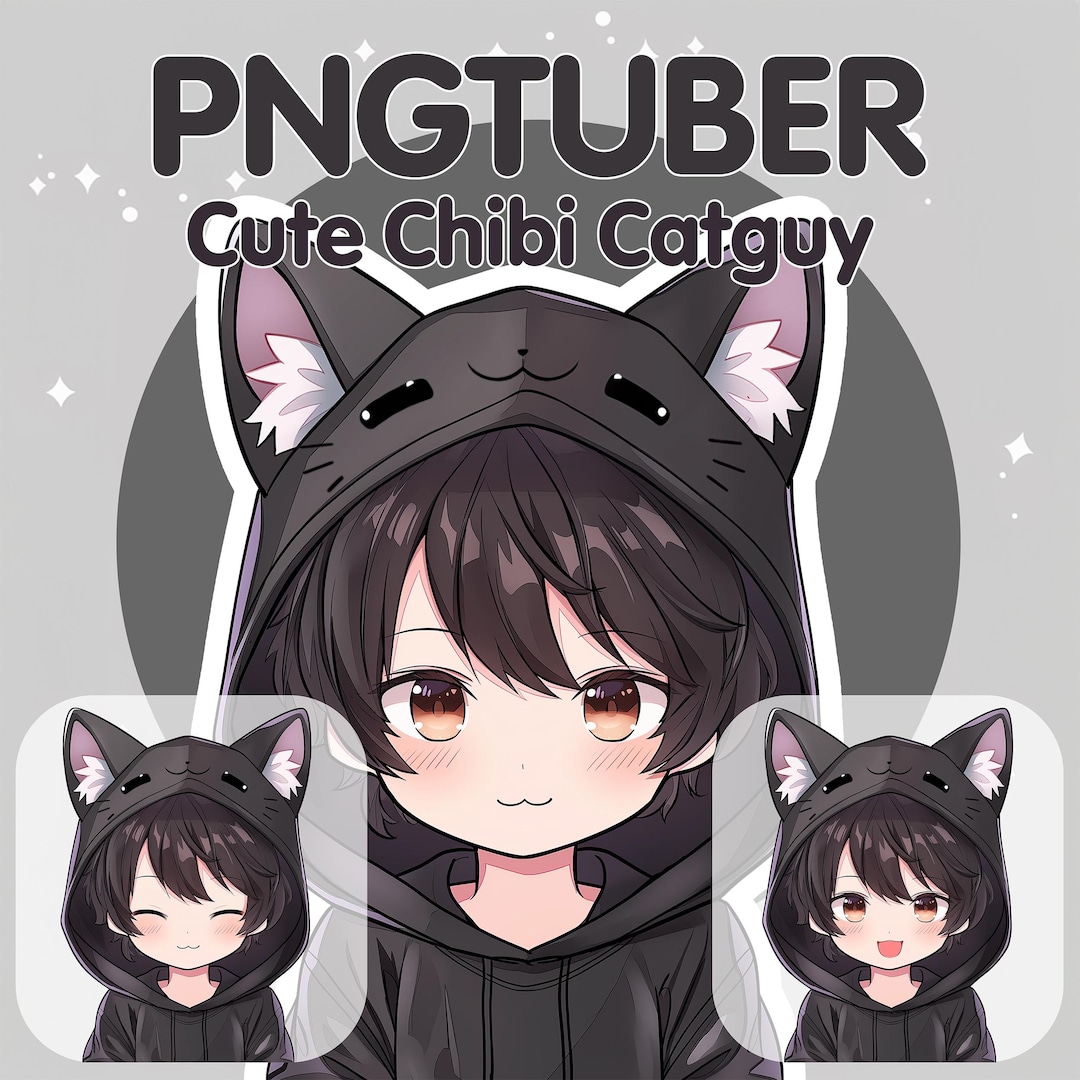 Chibi Catguy Pngtuber Model: Kawaii Premade Kitty Streaming Avatar ...