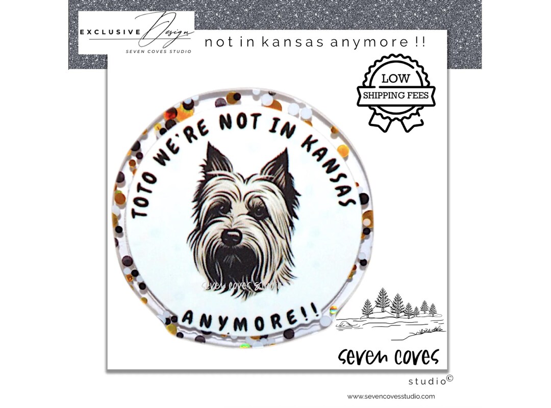 GLITTER ACRYLIC FLATBACK, Toto Not in Kansas, Planar Resin Cabochons ...