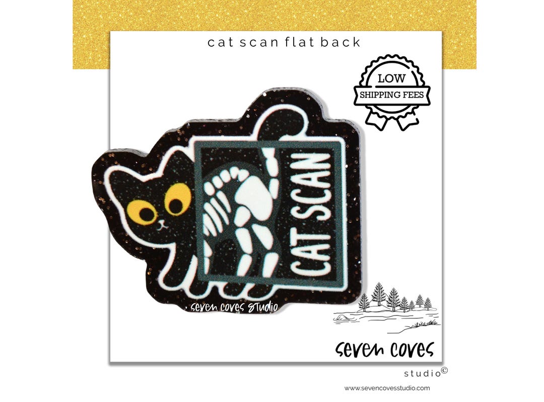 GLITTER ACRYLIC FLATBACK, Cat Scan X-ray, Planar Resin Cabochons, Badge ...