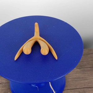Customizable Anatomically Correct 3d-printed Vulva and Clitoris Model ...