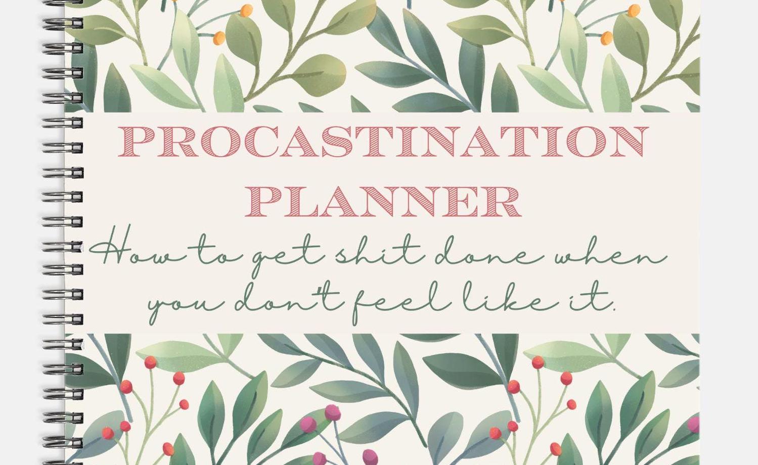 Funny Procrastination Planner, How to Get Sh*t Done When You Don’t Feel ...